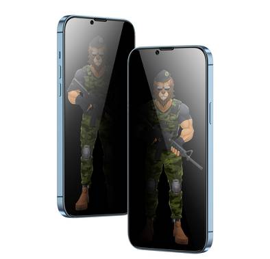 Green 3D PET Privacy Glass Screen Protector for iPhone 13 Mini, High ...