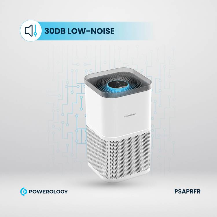 Low maintenance air purifier store